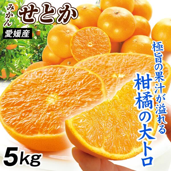 ●商品情報：濃厚＆芳醇！極甘果汁がたっぷリの贅を尽くした味わい！別名「柑橘の大トロ」。その贅沢な味わいから別名”みかんの大トロ”と称されるプレミアム柑橘「せとか」。皮が薄くて、果肉はまるでゼリーのよう。その甘さは柑橘の中でも指折りです。贈答...