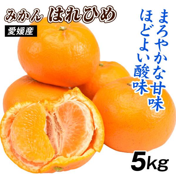 ●商品情報：オレンジのような華やかな香りと、やさしい甘さ。愛媛育ちの「はれひめ」をご家庭でたっぷり。「はれひめ」は、みかんの食べやすさとオレンジを思わせる爽やかな香りをあわせ持つ人気の柑橘です。果汁が豊富で、まろやかな甘みとほどよい酸味が調...