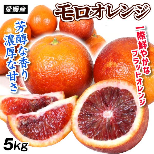 ●商品情報：濃厚な甘みと爽やかな酸味、鮮やかな果肉が魅力。人気のブラッドオレンジ「モロ」をご家庭で。「モロ」は、ブラッドオレンジを代表する人気品種。果肉は鮮やかな赤色に色づき、濃厚な甘みとほどよい酸味、ベリーを思わせるような芳醇な香りが楽し...