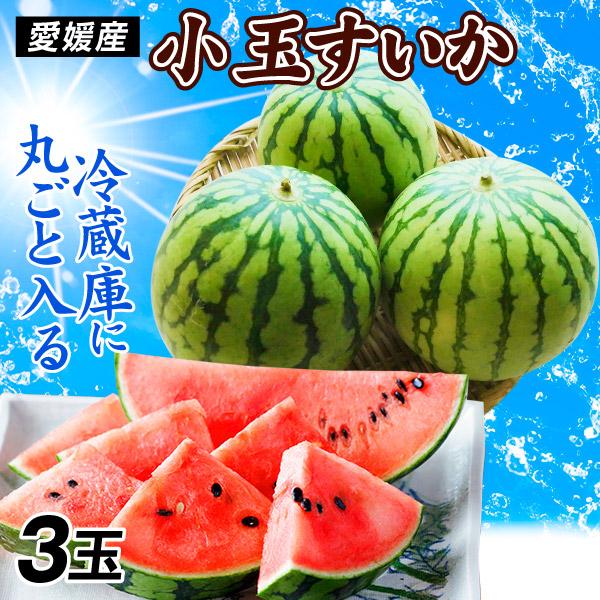 ●商品情報：冷蔵庫にそのまま入る小玉サイズ！愛媛といえばみかんが有名ですが、実はスイカも美味しいんです♪水分たっぷりの愛媛産すいか！ 「ひとりじめ」もしくは「姫甘泉」いずれかの品種でお届けします。●産地：愛媛県●規格・サイズ：-●入数の目安...