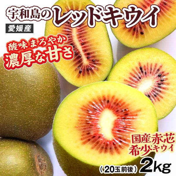 ●商品情報：黄緑の果肉の中心部分に放射状に赤色が広がり、コントラストが鮮やかなレッドキウイ。毛のないつるっとした果実は一般的な緑キウイより少し小ぶりながらも、酸味が非常に少なく、糖度も５度ほど高い約18度〜20度にもなる、抜群に甘くてコクの...