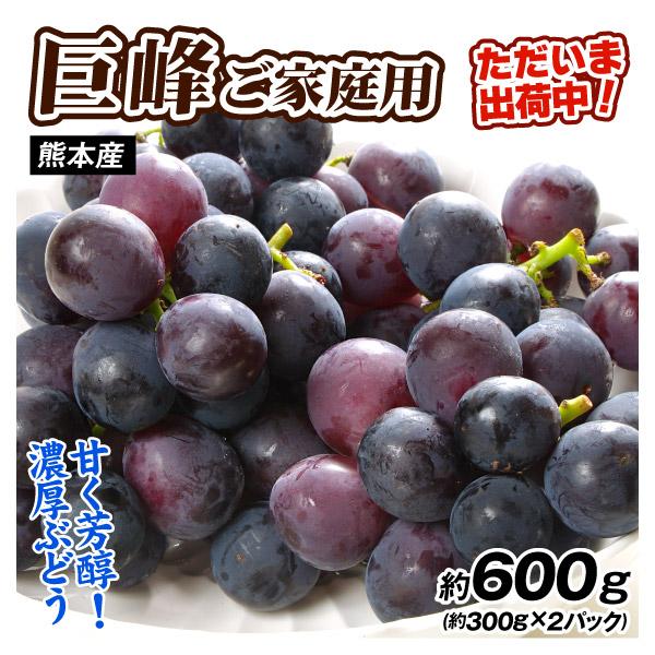 ●商品情報：★ただいま出荷中★ギュッと詰まった大粒に、コクのある濃厚な甘みが詰まった“ぶどうの王様”巨峰。数多くの新品種が登場する中で、年代を問わず不動の人気を誇る高級ぶどうの代名詞です。芳醇で果汁たっぷりの果肉は、濃厚な甘さと酸味のバラン...