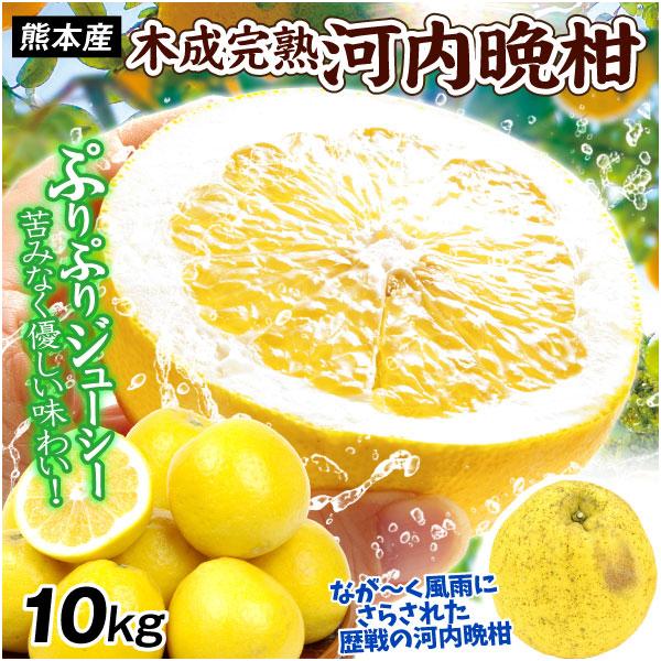 ●商品情報：熊本のプリプリ＆みずみずしい“和製グレープフルーツ”！特に夏にかけてじっくりと完熟した河内晩柑は、苦味や酸味はほぼなく、優しい甘さとたっぷりの果汁が特徴の爽やかな熊本特産の柑橘です。収穫まで長い期間を風雨にさらされるため、果皮の...