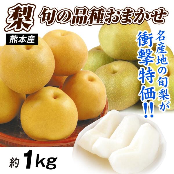 ●商品情報：火の国・熊本より。豊かな自然に恵まれ、太陽の光をたくさん浴びて育った梨は、ジューシーで甘味たっぷり！幸水・豊水・あきづき・新高・新興など、旬のおすすめ品種をお届け！（品種は一例です。）●産地：熊本県●規格・サイズ：-●入数の目安...