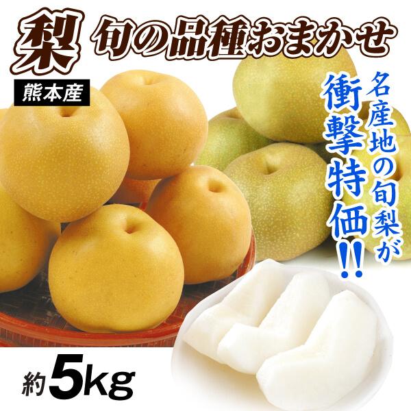 ●商品情報：火の国・熊本より。豊かな自然に恵まれ、太陽の光をたくさん浴びて育った梨は、ジューシーで甘味たっぷり！幸水・豊水・あきづき・新高・新興など、旬のおすすめ品種をお届け！（品種は一例です。）●産地：熊本県●規格・サイズ：-●入数の目安...