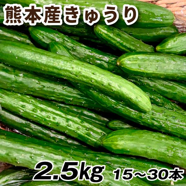 ●商品情報：夏野菜の名産地熊本の美味しいキュウリをお届け。●産地：熊本県●規格・サイズ：-●入数の目安：15本〜30本●配送形態：段ボール箱●配送温度：常温便●備考：【サイズ指定不可】※ご家庭用としてご用意いたします。多少の傷・変形果、色む...