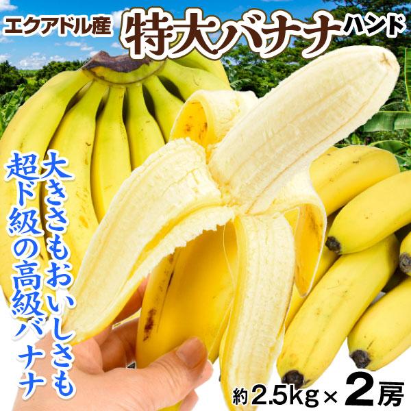 ●商品情報　１度食べると他のバナナでは物足りなくなる！世界最大のバナナ輸出国・南米エクアドルの、昼夜の寒暖差が大きな高原地域で栽培された、もっちりコク旨バナナを、切り分ける前の超大房（ハンド）でお届け。●産地　エクアドル●規格・サイズ　1房...