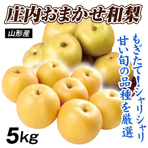 ●商品情報：名産地・山形庄内地方より！幸水・豊水・南水・鳥海・あきづき・長十郎などから、その時期「旬」の１品種を選んで、超お買得価格でお届け！●産地：山形県●規格・サイズ：-●入数の目安：●配送形態：段ボール箱●配送温度：常温便●備考：【品...