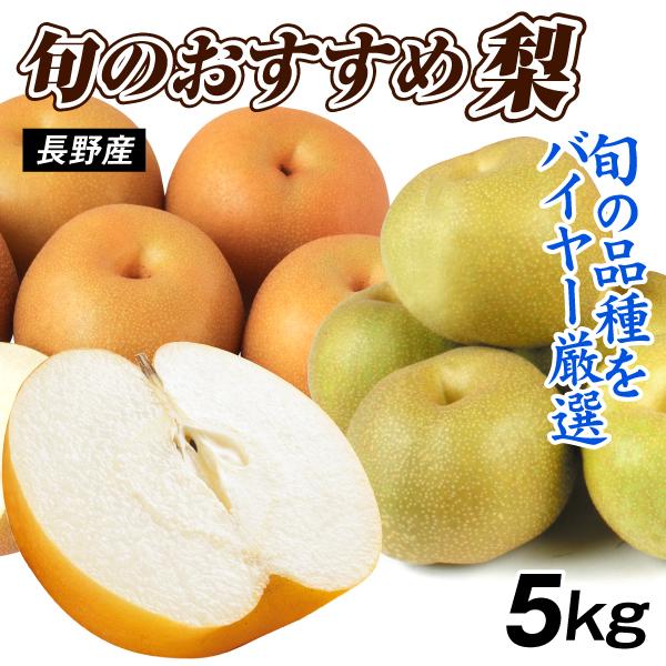 ●商品情報：幸水・豊水・秋月・新高他、その時期おすすめの１品種を厳選してお届け！●産地：長野県●規格・サイズ：-●入数の目安：約8〜24玉●配送形態：段ボール箱●配送温度：常温便●備考：【品種指定不可】※お届け時期により品種が異なります。※...
