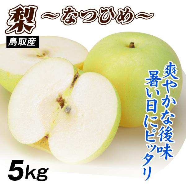 ●商品情報：●産地：鳥取県●規格・サイズ：-●入数の目安：-●配送形態：段ボール箱●配送温度：常温便●備考：●送料：通常配送：送料無料北海道・沖縄：1箱（組）ごとに1500円