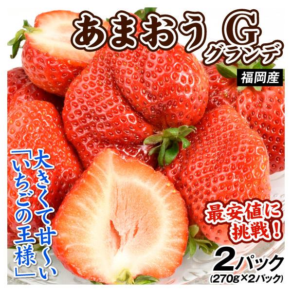 ●商品情報：大きくて甘〜い真っ赤ないちごの王様！「あまおう」は福岡生まれの品種。大きな果実にかぶりつくと、あま〜い果汁が溢れ出し、ほど良い酸味と甘味のバランスが良く、濃厚な味わい。一度食べたら忘れられない美味しさです！グランデとは、形は不揃...