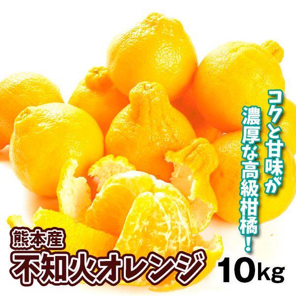 みかん 10kg 不知火オレンジ 熊本産 ご家庭用 送料無料 食品 みかん 10kg 不知火オレンジ 熊本産 ご家庭用 送料無料 食品