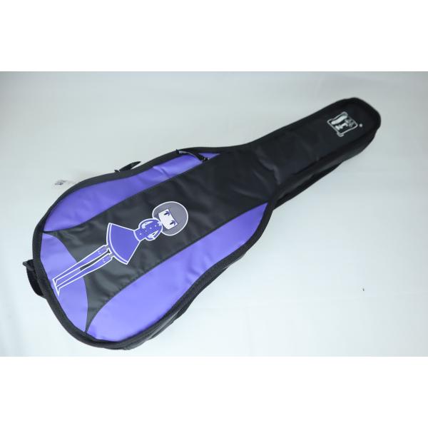 写真のウクレレ本体はイメージです。