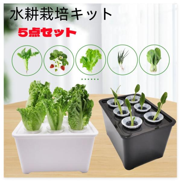 カラー： ホワイトサイズ： 12*18*10.5ｃｍ素材： PP素材お勧めポイント【高品質素材】PP素材は優れた耐食性と耐水性を備えており、長期間使用しても変形や黄ばみが起こりにくいです。本体は軽量で頑丈なため移動が楽で、表面は滑らかで汚れ...