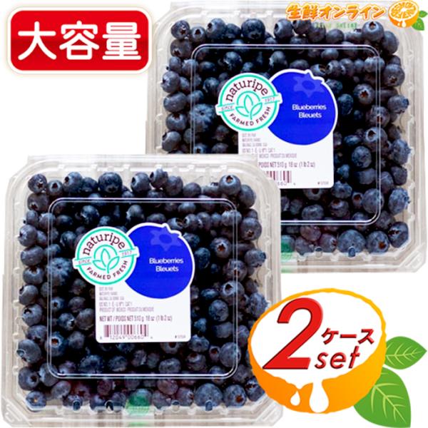 酸味と甘みのバランスが良い、生のブルーベリー！ブルーベリーにはビタミンC、ビタミンE、食物繊維、ミネラル、アントシアニンなどの栄養素が含まれています♪そのため、若返りのビタミンと呼ばれることもあります！朝食やおやつ、スムージー、ヨーグルトに...