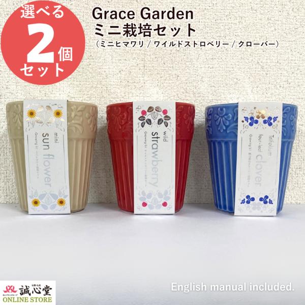 ■商品名：Grace Garden 植物育成キット（全4種）×2個セット■外装寸：φ80mm×95mm■内容　：ポット、インナーポット、鉢底シート、培養土、種、説明書（日本語/英語）■種類　：ワイルドストロベリー、ミニヒマワリ、四つ葉のクロ...
