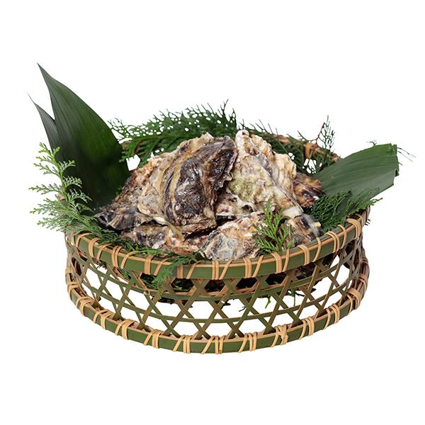 産地直送でお届け・神の国伊勢志摩発　三重県産桃こまち レンチンパック（牡蠣）4kg送料無料です。（北海道・沖縄は別途）※離島へのお届けはできません。※他の商品と同梱は出来ません。※手渡し用にできません。※紙袋等おつけできません。〜電子レンジ...