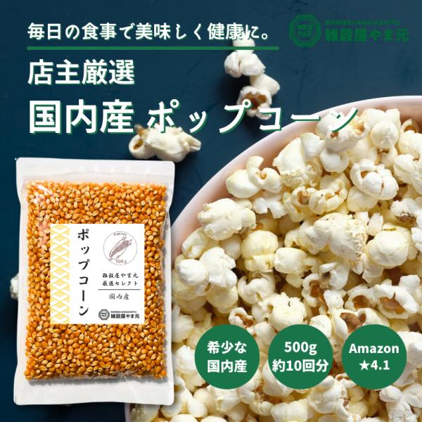 国産ポップコーン用トウモロコシ長野県と山梨県にまたがる八ヶ岳高原でつくられた希少な国産ポップコーンです。市販されている調理後のポップコーンはほとんどが外国産です。手作りのポップコーンは、添加物や油の酸化などの心配もなく、最近では保育園・幼稚...