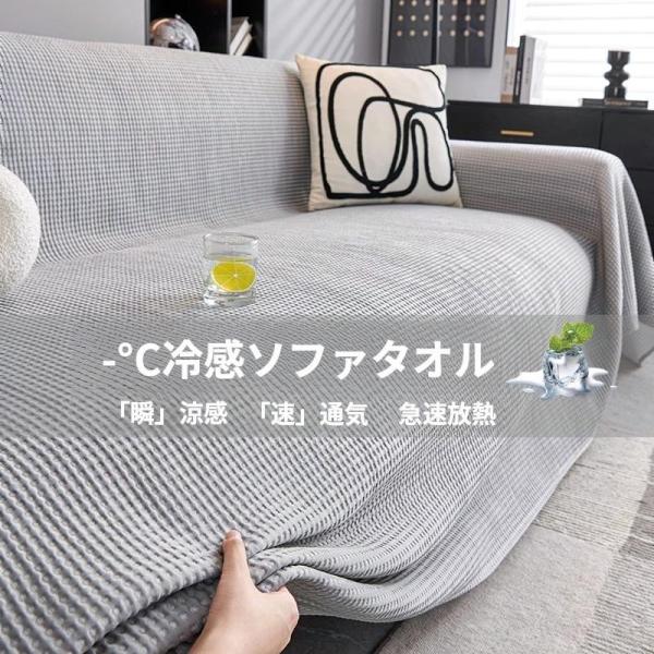 ソファーにかけるだけで、気軽にお部屋の模様替えを楽しめます。防菌、防塵、ダニ防止、キズ防止などの機能あり、ペットの足から自宅のソファーをしかっりと保護できます。「接触冷感」表地素材ラテックス、接触冷感の素材として、熱の伝導率が大きく、熱と湿...