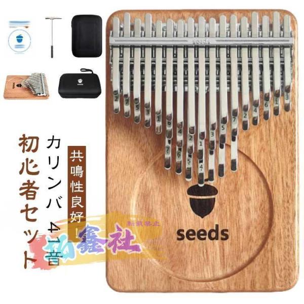 41音 カリンバ 初心者セット 親指ピアノ サムピアノ 楽譜 教本 入門書 ケース 指サック チューニング済み チューニングハンマー チューナー 楽器