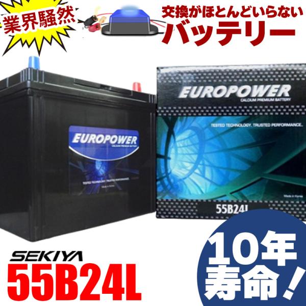 業界騒然！大学共同研究 バッテリー交換がほとんどいらない寿命４倍バッテリー！プロが選んだ最強コスパ！LINE無料サポート！【さらにレビューで延長保証】宮崎県ものづくり大賞受賞 九州産業局認定技術 サポート無料 SEKIYA 株式会社関谷 E...