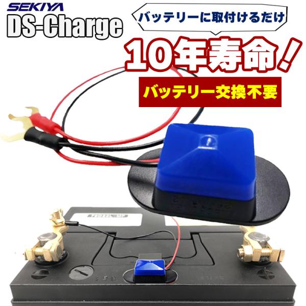 業界騒然！大学共同研究 バッテリー交換がいらなくなる 新型 バッテリー再生DSパルス！ 動作確認LED付！LINE無料サポート！キーワード:DSチャージャー