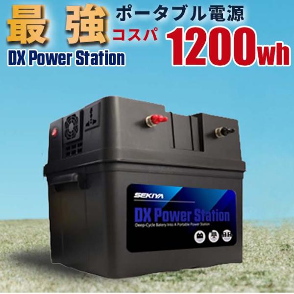 限定特価 最強コスパ ポータブル電源 1200wh SEKIYA 節電・停電対策 大容量 家庭用 アウトドア 電気代削減 MPPT制御 AC/DC/USB出力 AC500w 正弦波 車中泊 キャンプ 防災 非常用電源 リチウムイオン 小学生...