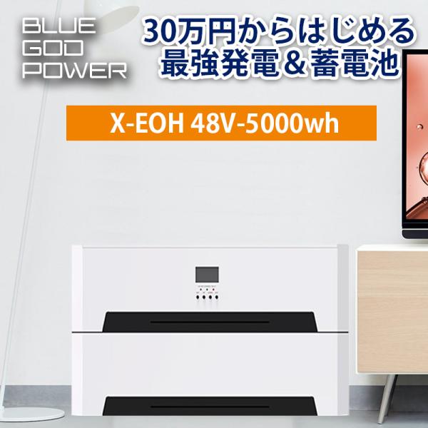 5000wh家庭用蓄電池＆ソーラー発電システムが驚き価格！自家発電をスタート 節電 電気代削減 ソーラー 活用 停電の備えに 世界最新決定版 卒FIT<br><br>【配送は「西濃運輸営業所留め」のみとなります】&l...