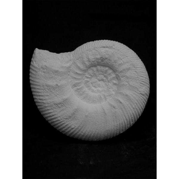 Ｈ．２５×Ｗ．２１×Ｄ．６．５ｃｍ