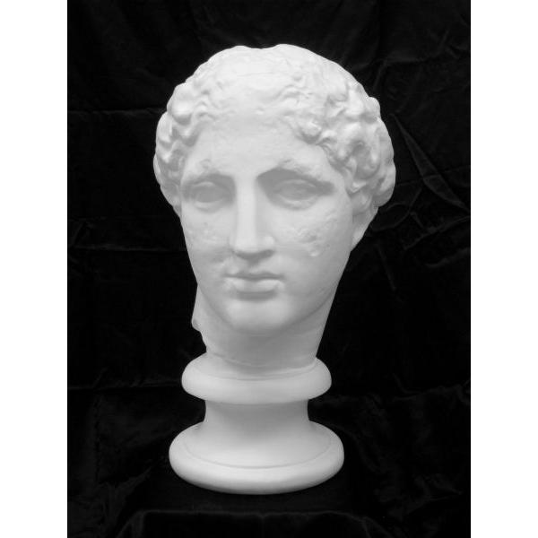 Ｈ．５５×Ｗ．２８×Ｄ．３７ｃｍ