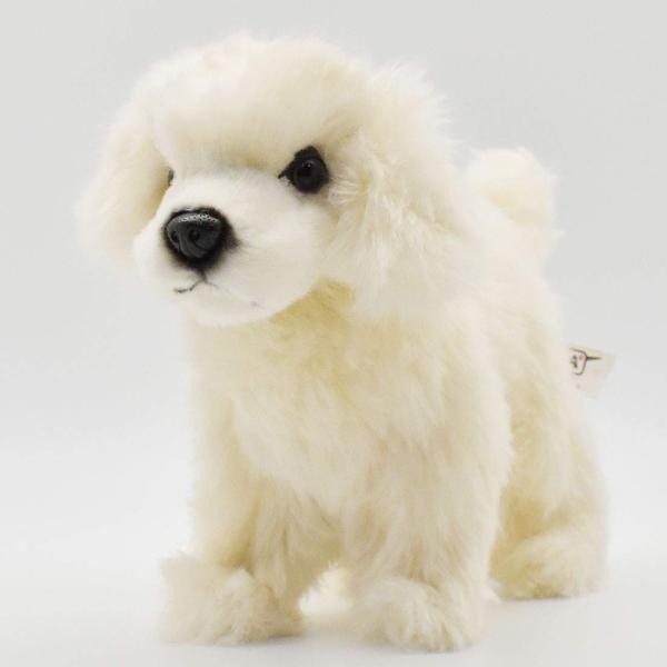 ■システム反映の都合上、ご購入後でも品切れになっている場合があります。その場合、ご登録のメールアドレスに通知致します。必ずご確認をお願いします。■サイズ・カラー等の記載が無い場合や複数記載がある場合があります。ご不明点は、ご購入前にご質問く...