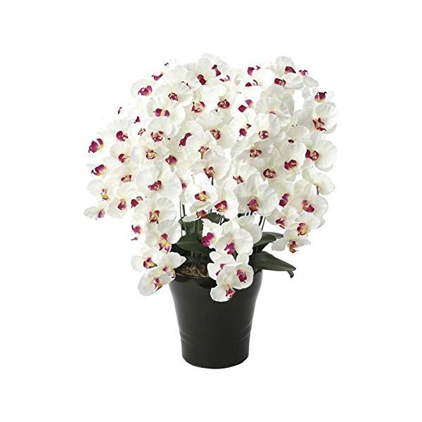 ■システム反映の都合上、ご購入後でも品切れになっている場合があります。その場合、ご登録のメールアドレスに通知致します。必ずご確認をお願いします。■サイズ・カラー等の記載が無い場合や複数記載がある場合があります。ご不明点は、ご購入前にご質問く...