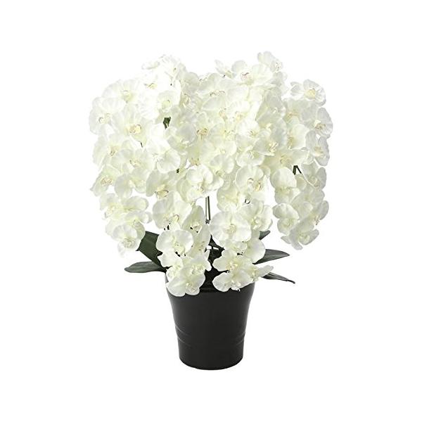 ■システム反映の都合上、ご購入後でも品切れになっている場合があります。その場合、ご登録のメールアドレスに通知致します。必ずご確認をお願いします。■サイズ・カラー等の記載が無い場合や複数記載がある場合があります。ご不明点は、ご購入前にご質問く...