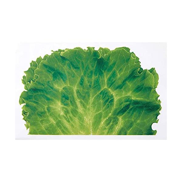 ■システム反映の都合上、ご購入後でも品切れになっている場合があります。その場合、ご登録のメールアドレスに通知致します。必ずご確認をお願いします。■サイズ・カラー等の記載が無い場合や複数記載がある場合があります。ご不明点は、ご購入前にご質問く...