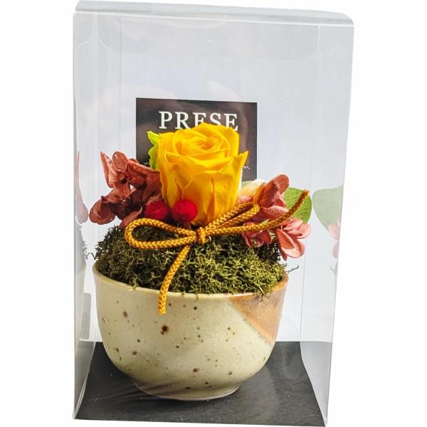 ■システム反映の都合上、ご購入後でも品切れになっている場合があります。その場合、ご登録のメールアドレスに通知致します。必ずご確認をお願いします。■サイズ・カラー等の記載が無い場合や複数記載がある場合があります。ご不明点は、ご購入前にご質問く...