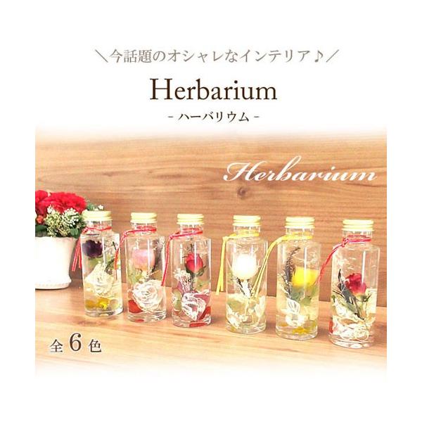 【素材】内側：ローズ、アジサイ、カスミソウ、ソフトライスフラワーリーフ、マーブル、シリコンオイル、ワイヤーリボン※上記のお花は全て「プリザーブドフラワー」です。ただしカラー「ローズレッド(白リボン)」・「ローズレッド(赤リボン)」のみ、ロー...