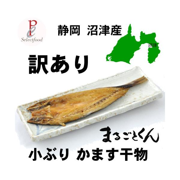 【発売日：2026年03月28日】超小ぶりカマスの干物ここ最近、カマスの水揚げが小ぶりなものばかりになっており、漁師さん、干物業者さんも困っており、今回何とかお手伝いできないか、話をしていく中で、訳あり品として、ご提供させていただくことにし...