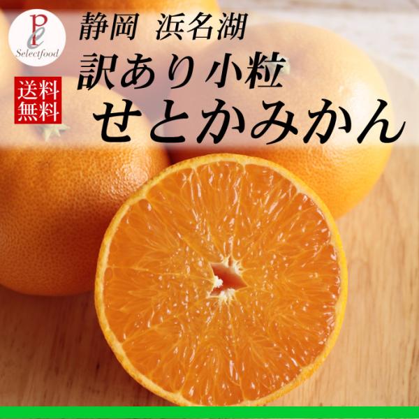 せとかみかんは、薄皮で酸味と甘みがとれた蜜柑、奥浜名湖でハウスで丁寧に栽培ています。みかんで有名な、三ケ日みかんのすぐ横の地域になります。小玉のせとかは、通常流通に回ることはほとんどなく、非売品を、今回特別にご用意しました。※酸味と甘みがあ...