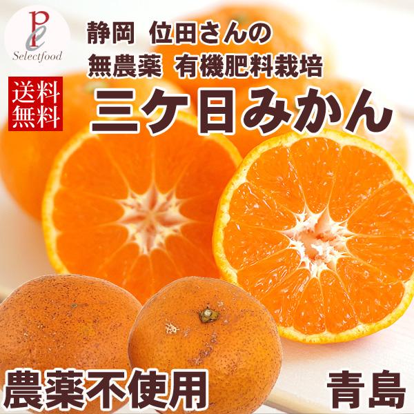 三ケ日 無農薬・無肥料栽培 位田さんちの青島みかんみかんが大好きな方にお届けする「旬のみかん」です。自然農法だからころ美味しく、栄養価の高いみかんを育てられると、確信している位田(いんでん)さん。さまざまな蜜柑栽培の勉強を重ね、現在 低農薬...