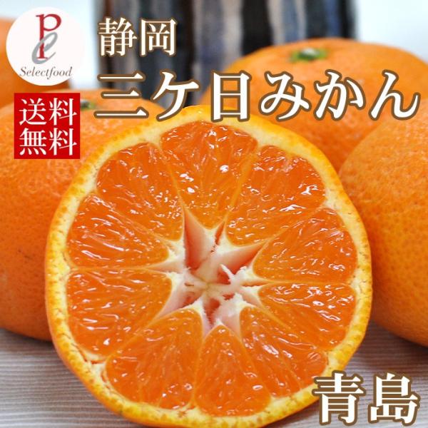 静岡は、みかん生産高ではトップクラスの有数なみかん産地。 その静岡の中でも、三ケ日みかんは、実に約300年前にもさかのぼる歴史のあるみかんで、品質、味の安定したブランドみかんとして、関東の市場で日本一の評価を受けています。 その濃厚な甘みと...