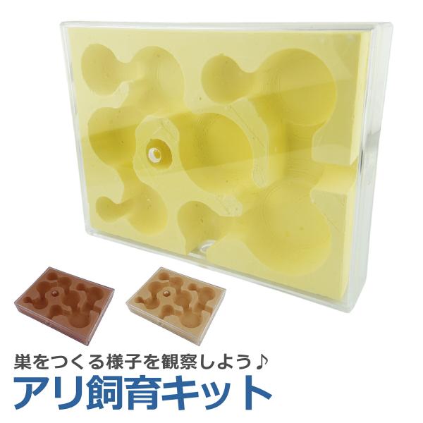 〇アリを観察しやすい アリを飼育するためのコロニーです。 多くのアリを飼育可能で、巣の様子を横から観察できます。  〇アリのお世話をしよう スポイトなどを使用し適度に給水し、湿度を調整してください。 チューブを接続して、他のケースと接続可能...