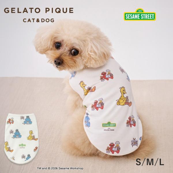 gelato pique ジェラートピケCAT&amp;DOG SESAME STREET カットソープルオーバー pagg261597■詳　細■【Design/Styling】SESAME STREETの仲間たちの日常に、まるでルームメイ...