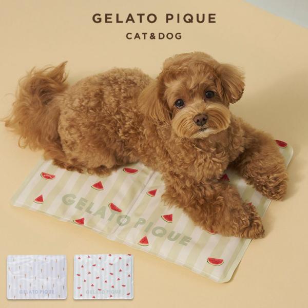 gelato pique ジェラートピケCAT&amp;DOG サマーモチーフ柄Coolingジェルマット pagg262589■詳　細■【冷蔵庫で冷やして使うストライプ柄のCOOなジェルマット】【Design/Styling】夏の気分を盛...