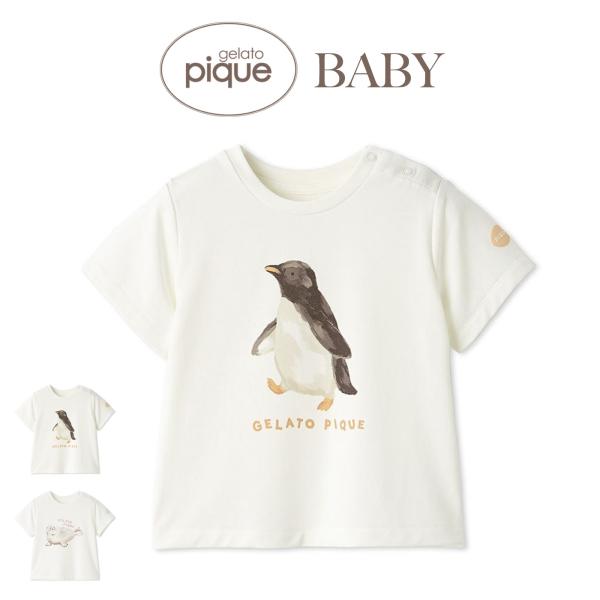 gelato pique (ジェラートピケ)BABY 接触冷感 シーアニマル柄ワンポイントTシャツ pbct262449■詳　細■こちらの商品は衛生上の観点から返品・交換不可となります。【COOLで可愛いシーアニマルプリントのBABY Tシ...