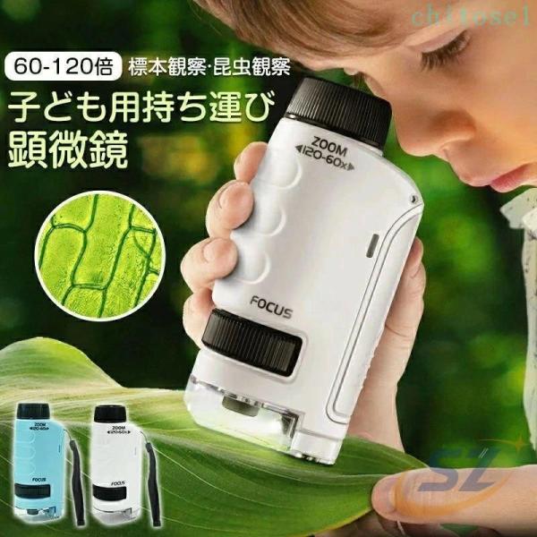 名称：科学顕微鏡セット  使用年齢：６歳以上  サイズ：4.6*3.3*9.3cm  重さ：99g  外装：11*15.8*４cm  電池式：電池単三電池1本だけ　（*ご注意：電池が付属しておりません。）  注意：  ?パッケージは英文もし...