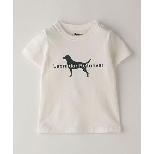 【発売日：2026年02月11日】★この商品はセール価格です★3,410円 → 1,705円(50%off)【カテゴリ】キッズ > トップス > Tシャツ【カラー】ライトホワイト/ホワイト/ブラック/ネイビー【サイズ】80/90...