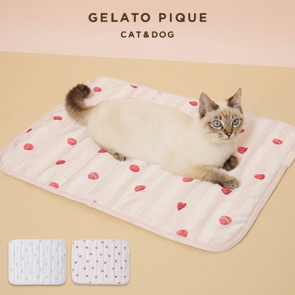 gelato pique ジェラートピケCAT&amp;DOG 接触冷感 Coolingマット pagg262576■詳　細■※注意事項不良品・ご注文と異なった商品が届いた場合以外の返品・交換等はお受けできません。CAT&amp;DOG商品...