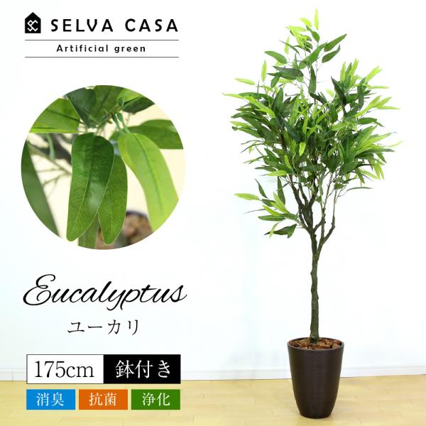[商品名]人工観葉植物ユーカリ（光触媒加工済み）[特徴]フェイクグリーンは土を使用せず、水やりの必要もないため自宅、店舗、企業、クリニック、美容院、飲食店などでお気軽にインテリアグリーンとしてご使用いただけます。[光触媒]製品には、株式会社...