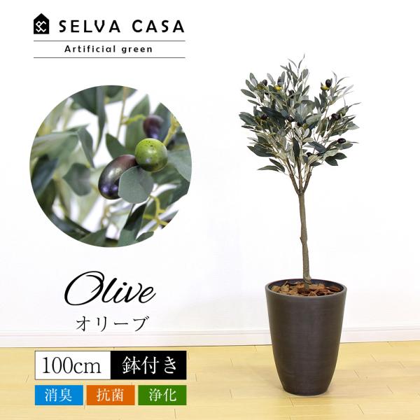 [商品名]人工観葉植物 オリーブ（光触媒加工済み）[特徴]フェイクグリーンは土を使用せず、水やりの必要もないため自宅、店舗、企業、クリニック、美容院、飲食店などでお気軽にインテリアグリーンとしてご使用いただけます。[光触媒]製品には、株式会...