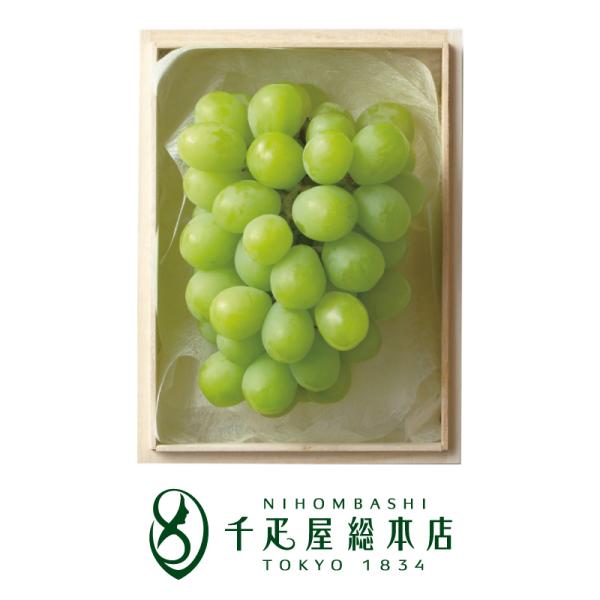 ※大変入荷量の少ないお品のため、お届け日の指定は一切承ることができません。お届け日の指定があった場合でも指定を外してお手配致します。高級ぶどうの代名詞、マスカット オブ アレキサンドリア。あのクレオパトラも愛したと言われる歴史のある品種で、...